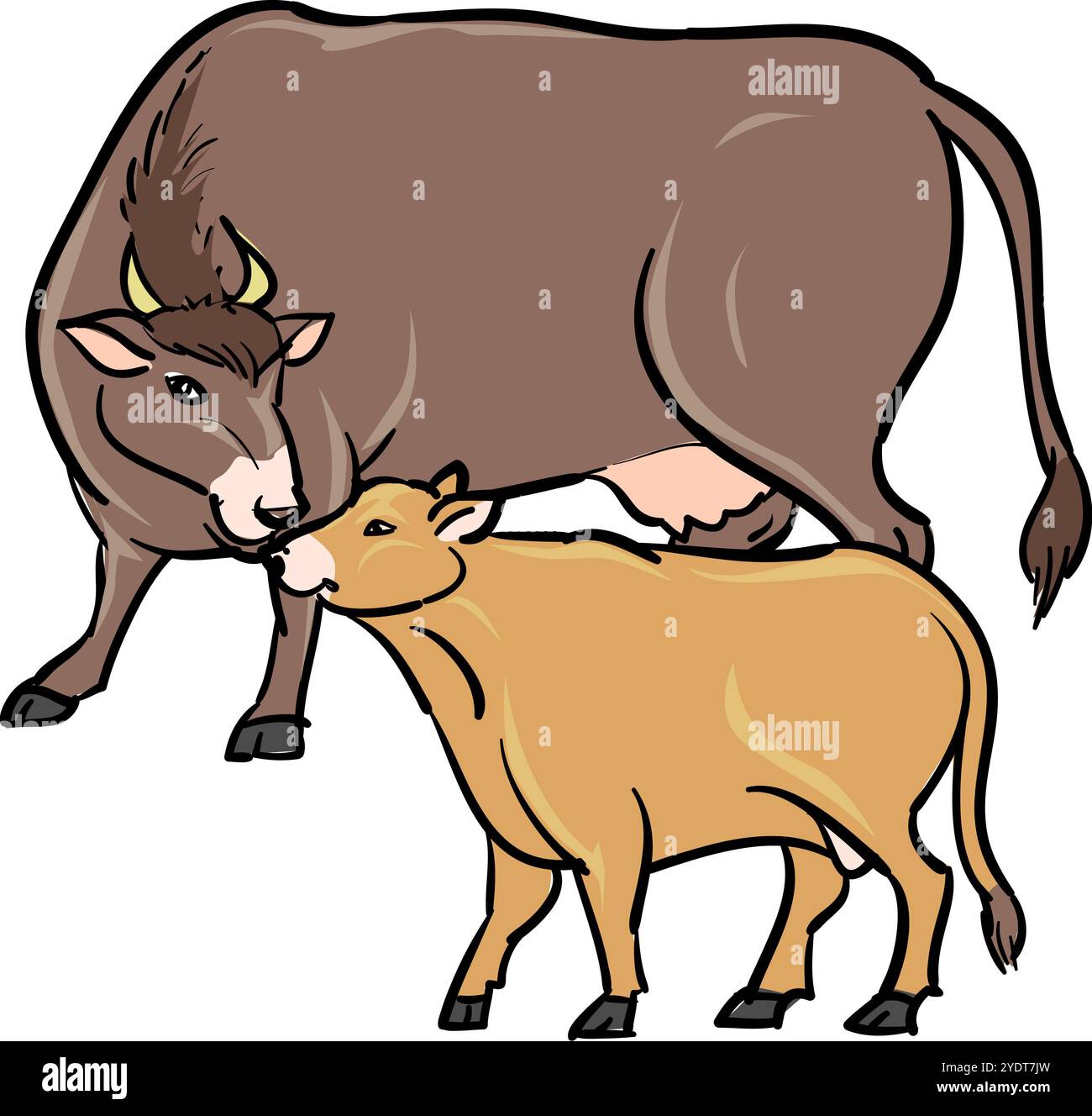 Beef parent and child Stock Photo - Alamy
