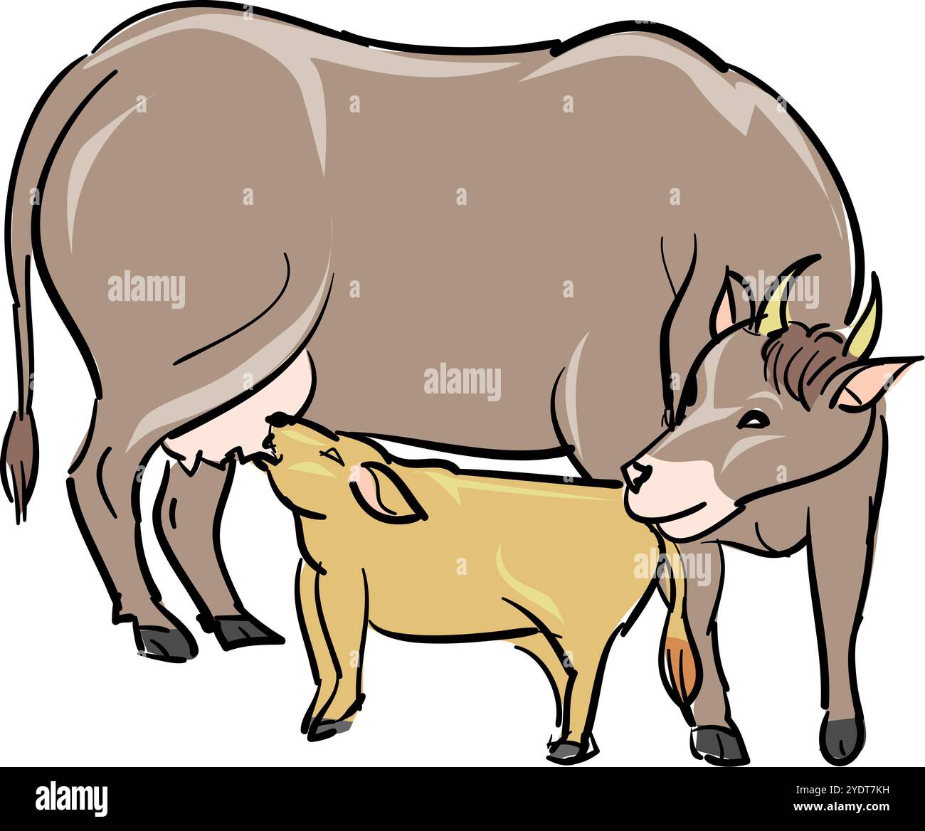 Beef parent and child Stock Photo - Alamy