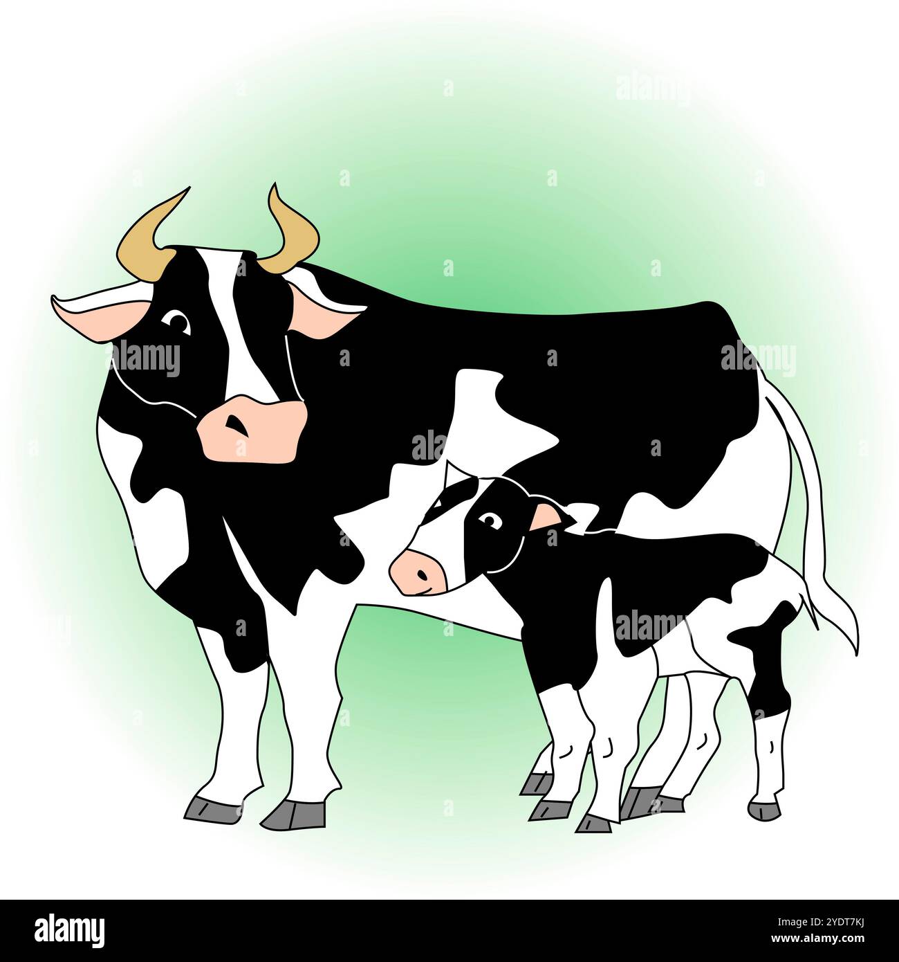 Holstein father and son Stock Photo - Alamy