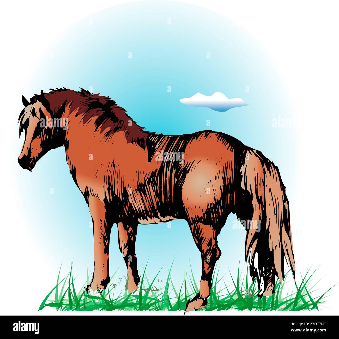 The uma Cut Out Stock Images & Pictures - Alamy