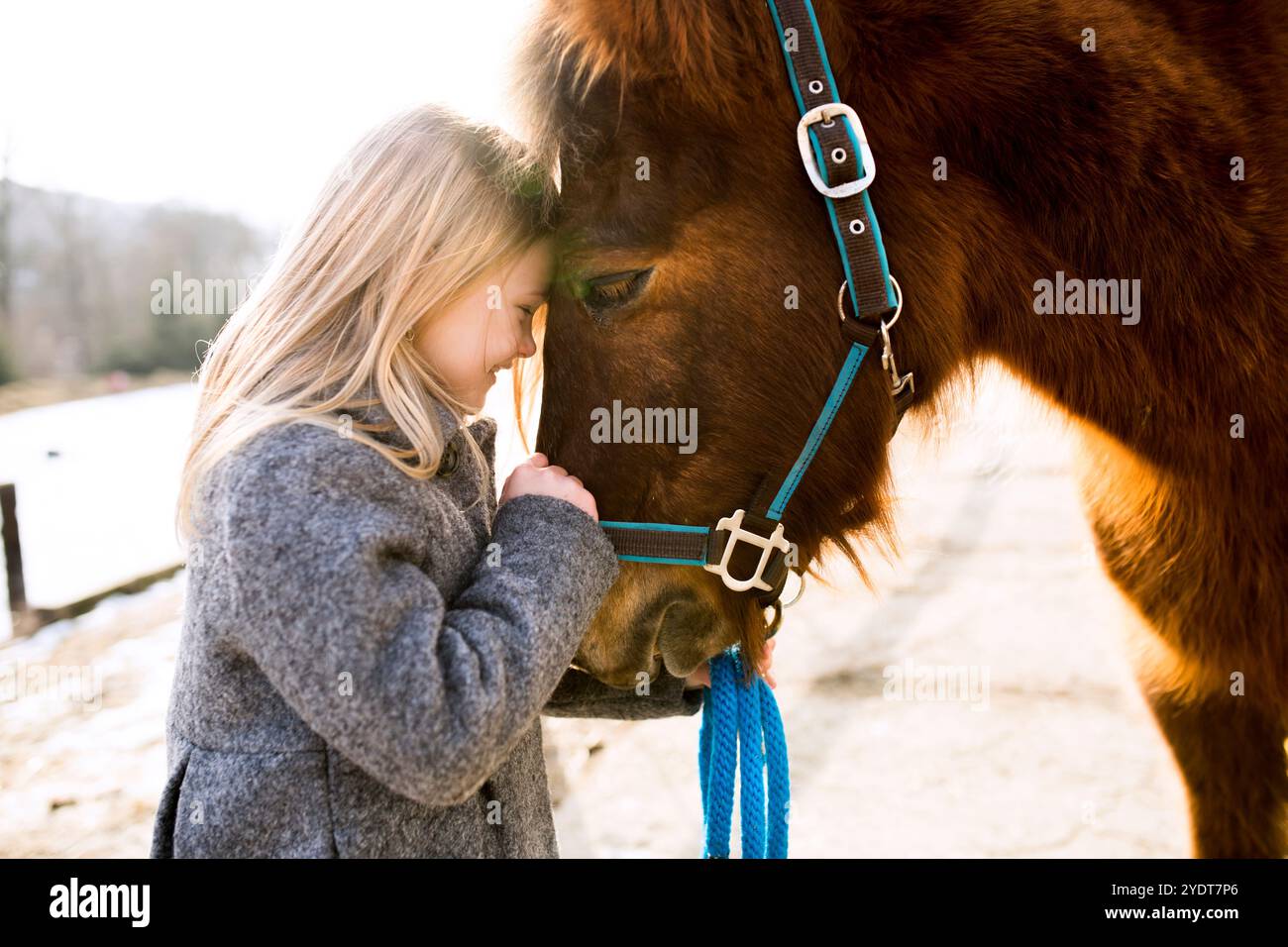 Young girl spending cold winter weekend on family farm, taking care of ...