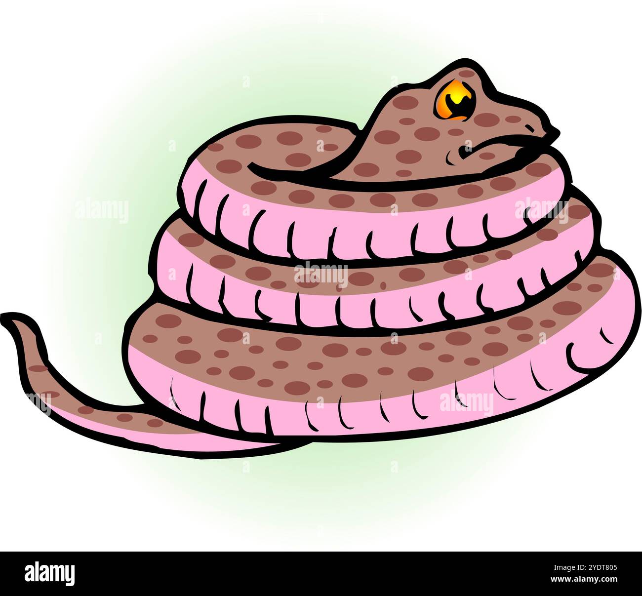 Snake coil hi-res stock photography and images - Alamy