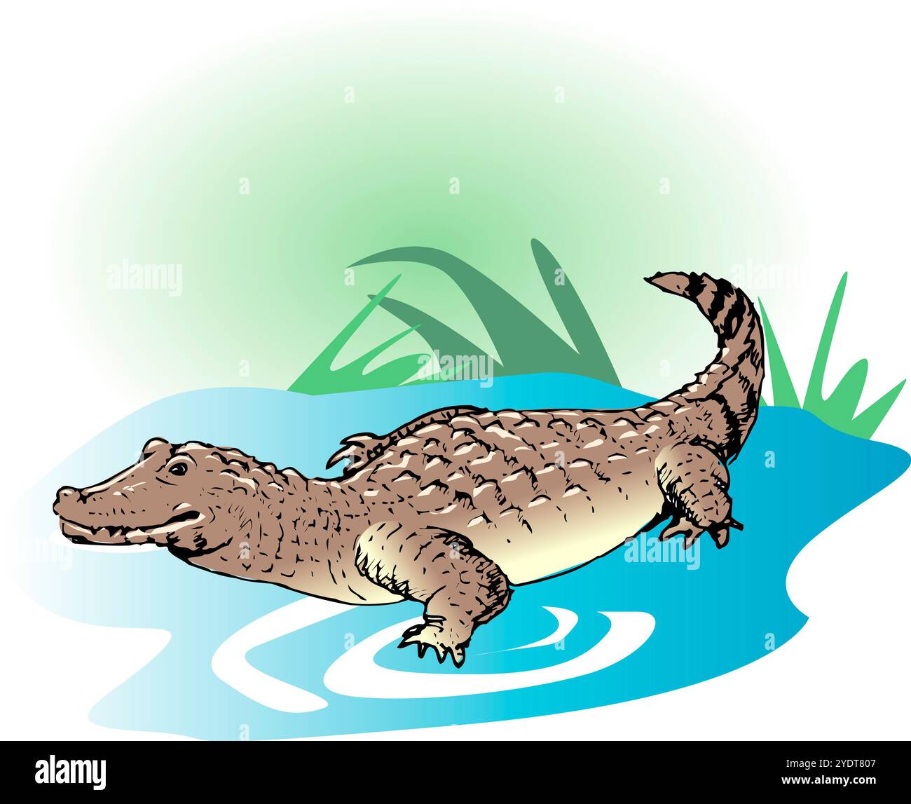 Cayman caiman Cut Out Stock Images & Pictures - Alamy