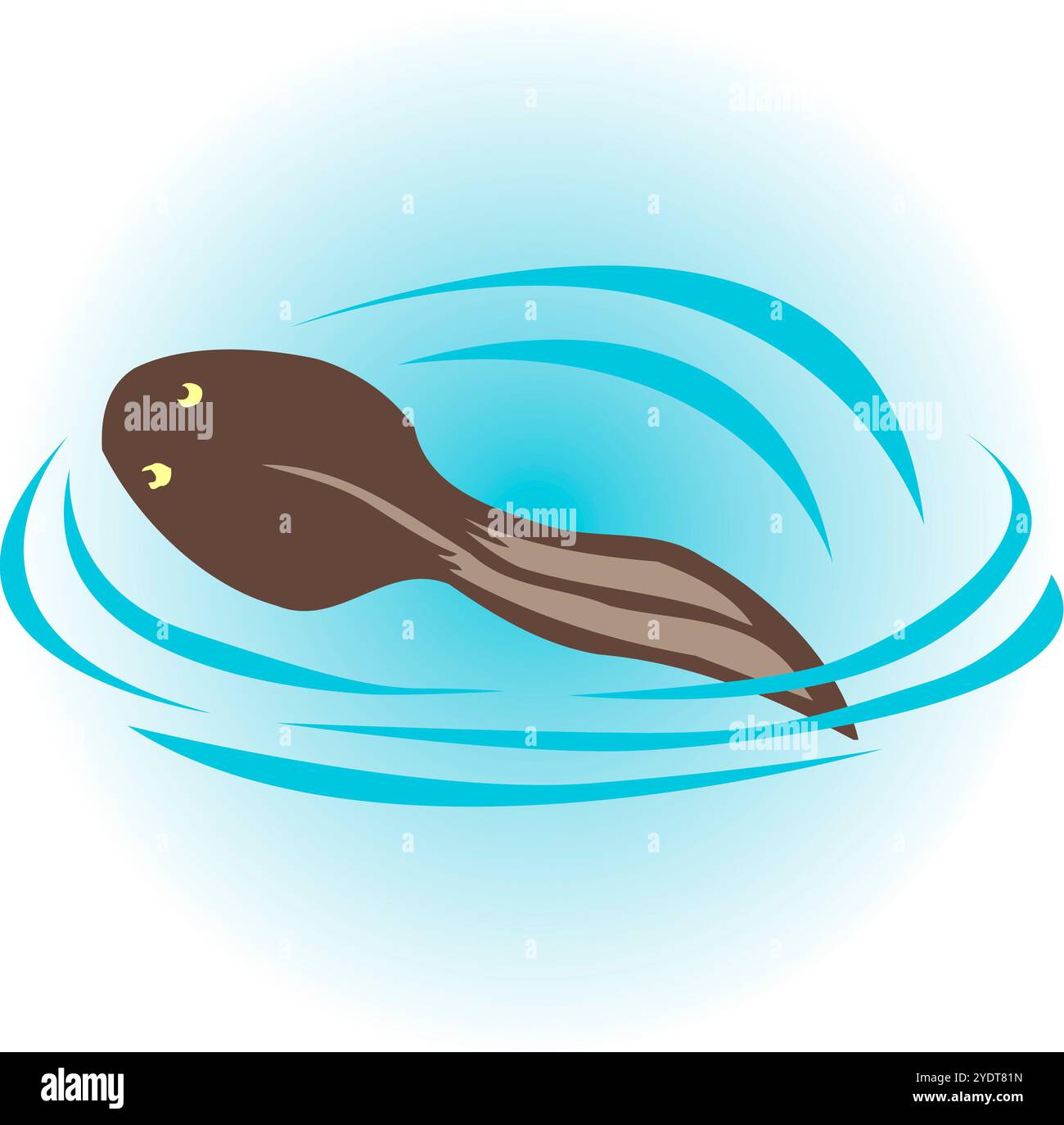 Tadpole illustrations hi-res stock photography and images - Alamy