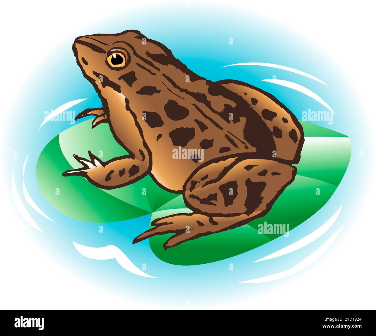 Spotted frog Cut Out Stock Images & Pictures - Alamy