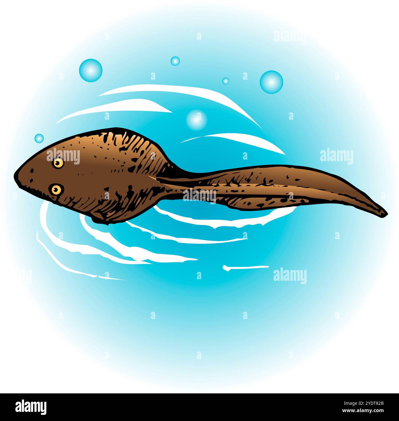 Tadpole illustrations hi-res stock photography and images - Alamy