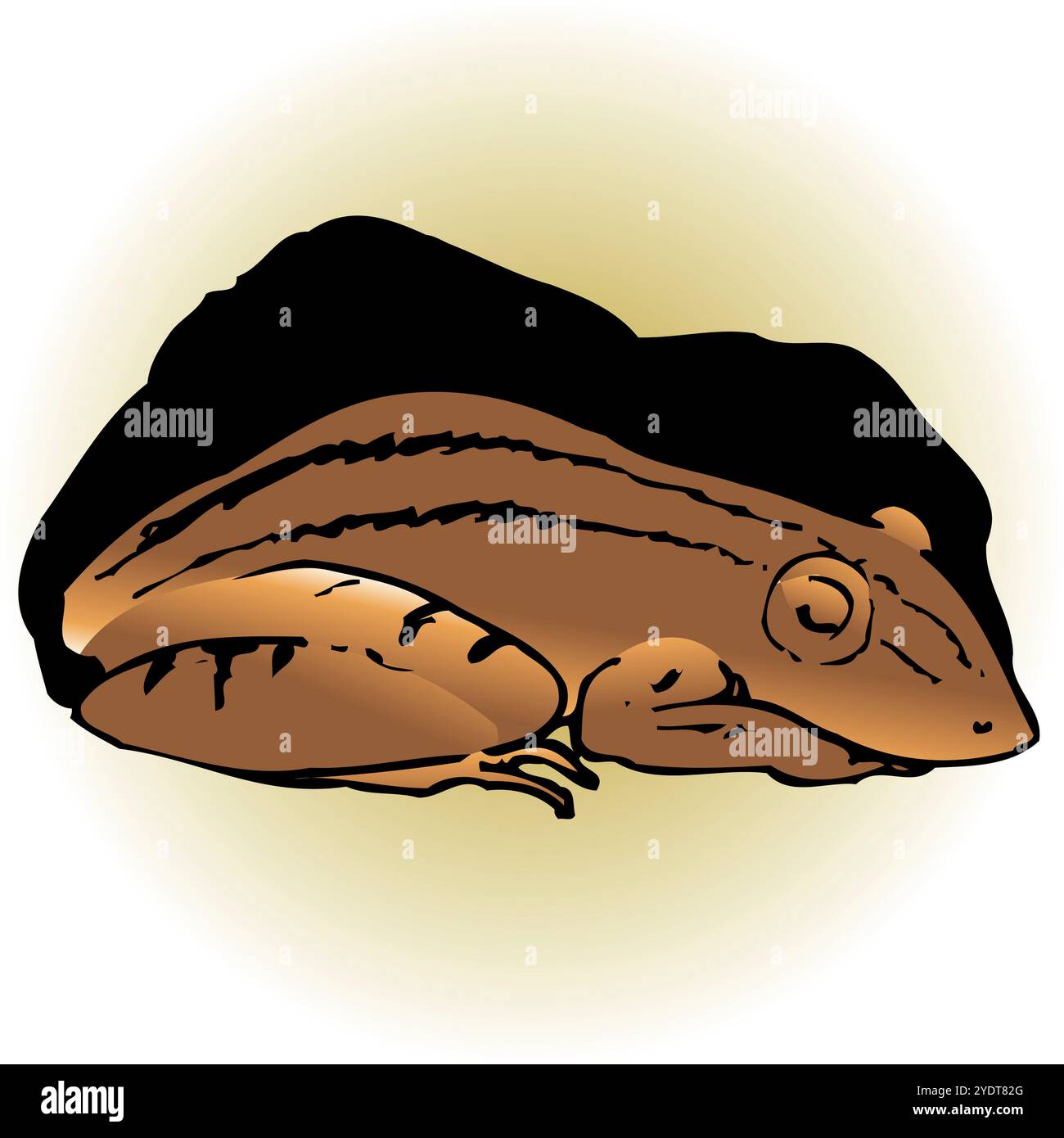 Hibernating Frog Wood Frog | Breeding, Hibernation, Habitat