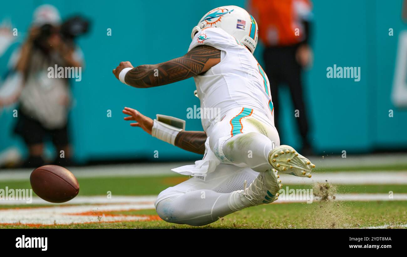 Aaron brewer dolphins hi-res stock photography and images - Alamy
