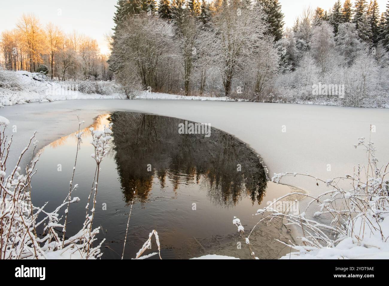 Lake with ice and open water in a winter landscape Stock Photo - Alamy