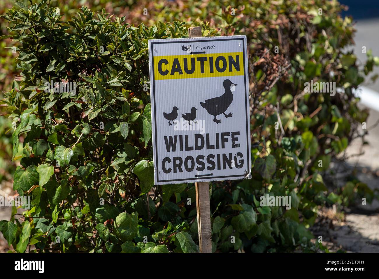 The image showcases a cautionary sign from the City of Perth that reads ...