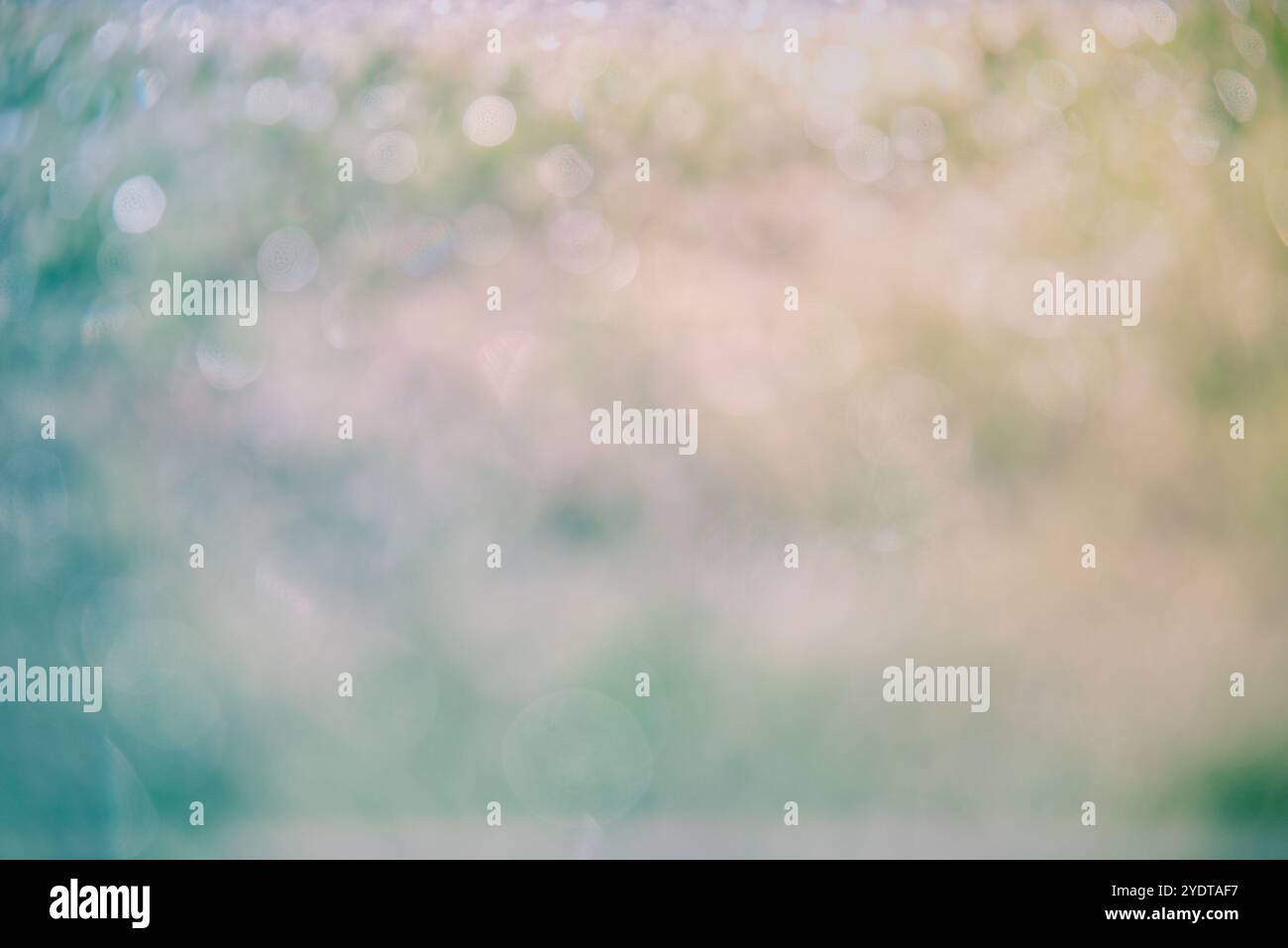 Blur background bokeh for christmas festival event party in auditorium hall convention audience ...