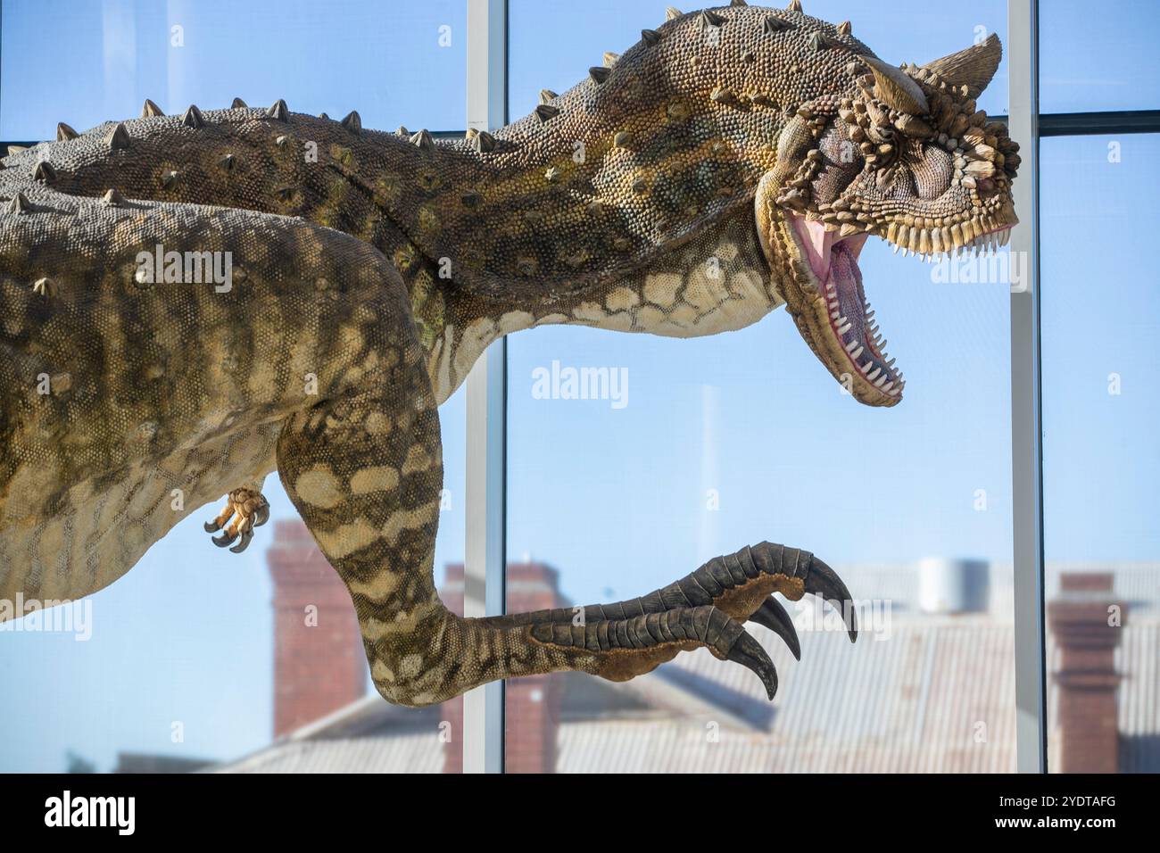 A life-sized dinosaur model, showcasing a detailed and fierce depiction ...