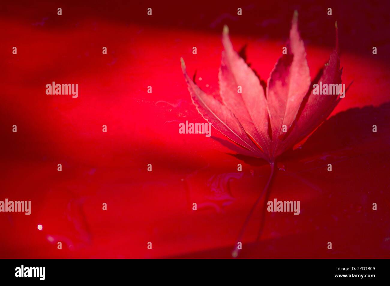 Material board hi-res stock photography and images - Alamy