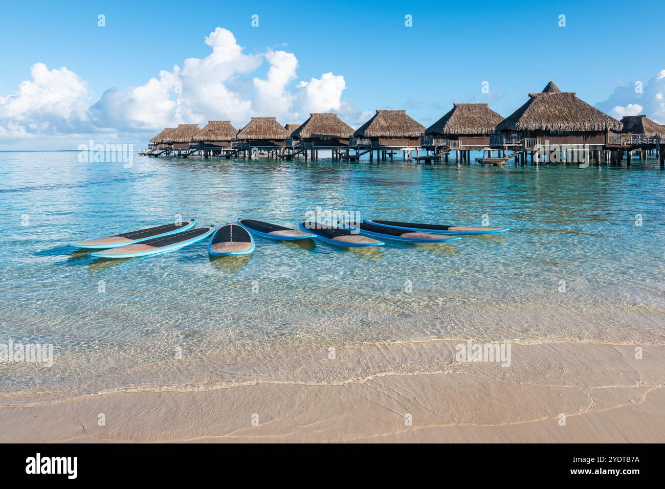 Paddle Boards at the Beach of Tropical Overwater Bungalow Resort in ...