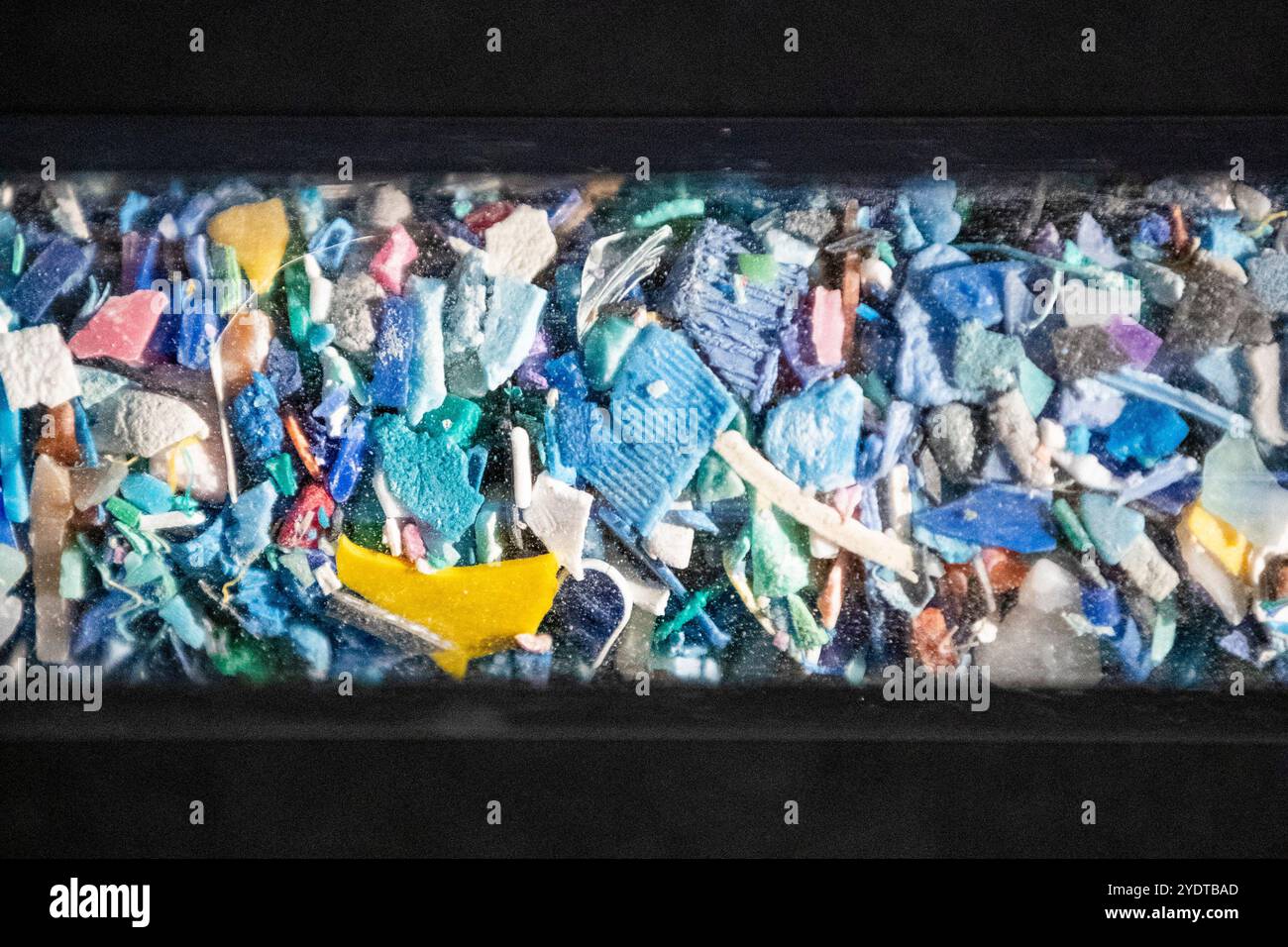 Glass display case features hi-res stock photography and images - Alamy