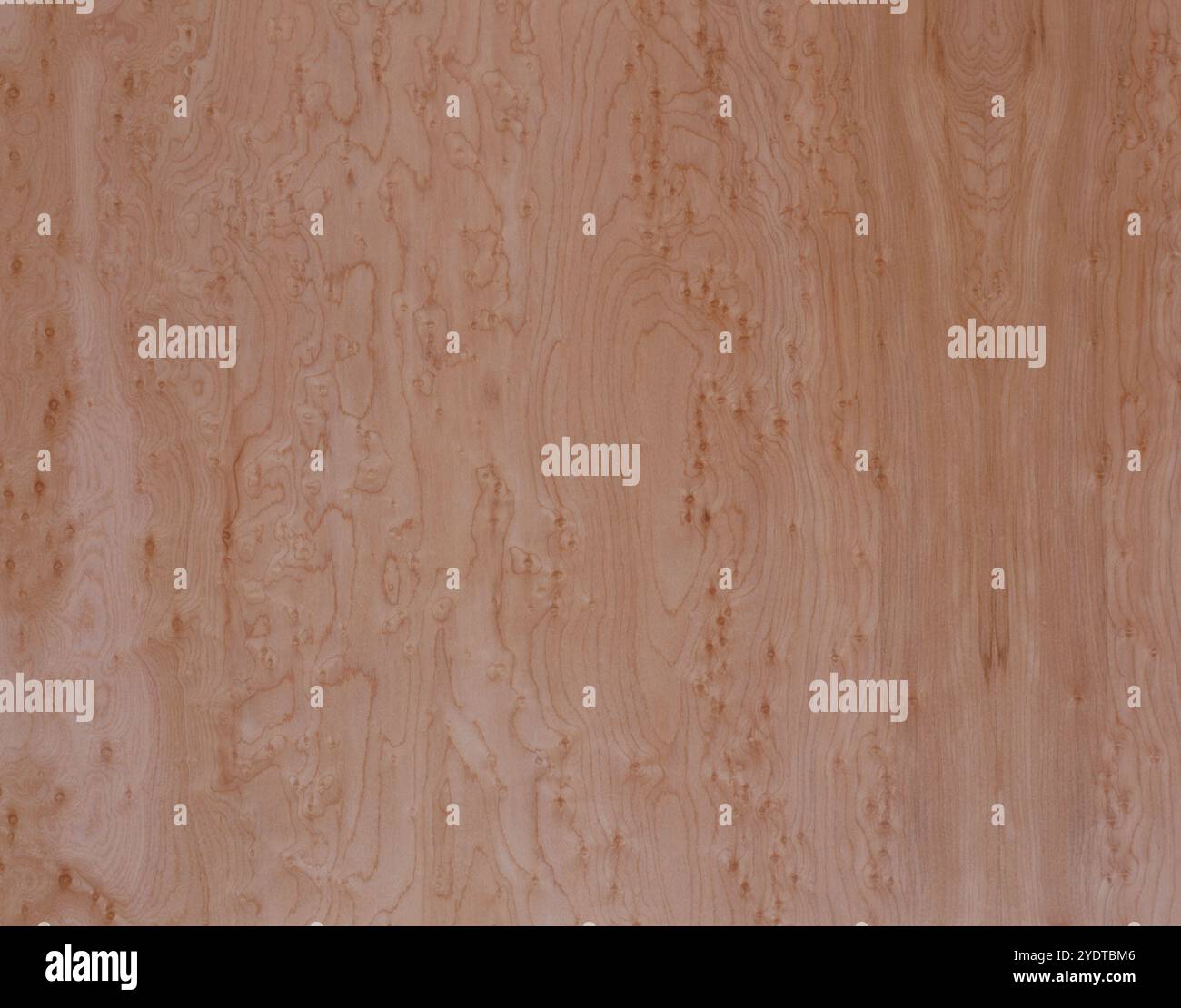 Grain of trees Stock Photo - Alamy