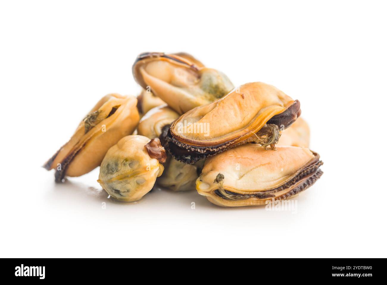 Shelled crustacean hi-res stock photography and images - Alamy