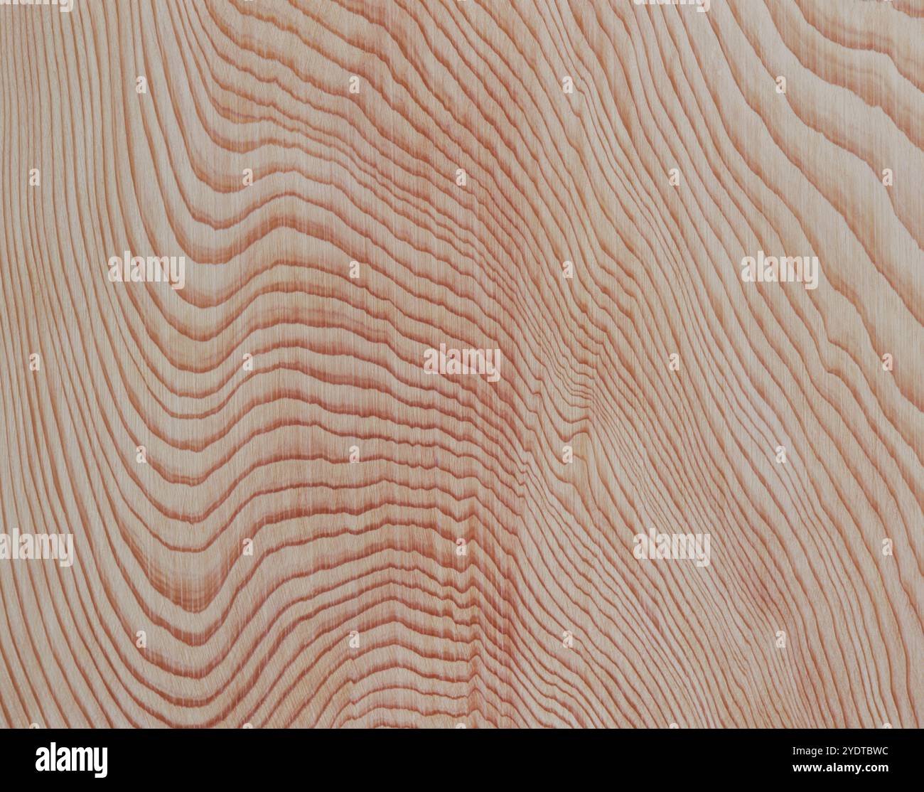 Grain of trees Stock Photo - Alamy