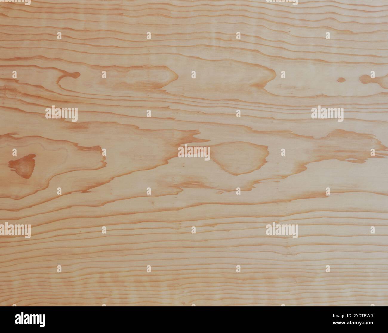 Grain of trees Stock Photo - Alamy