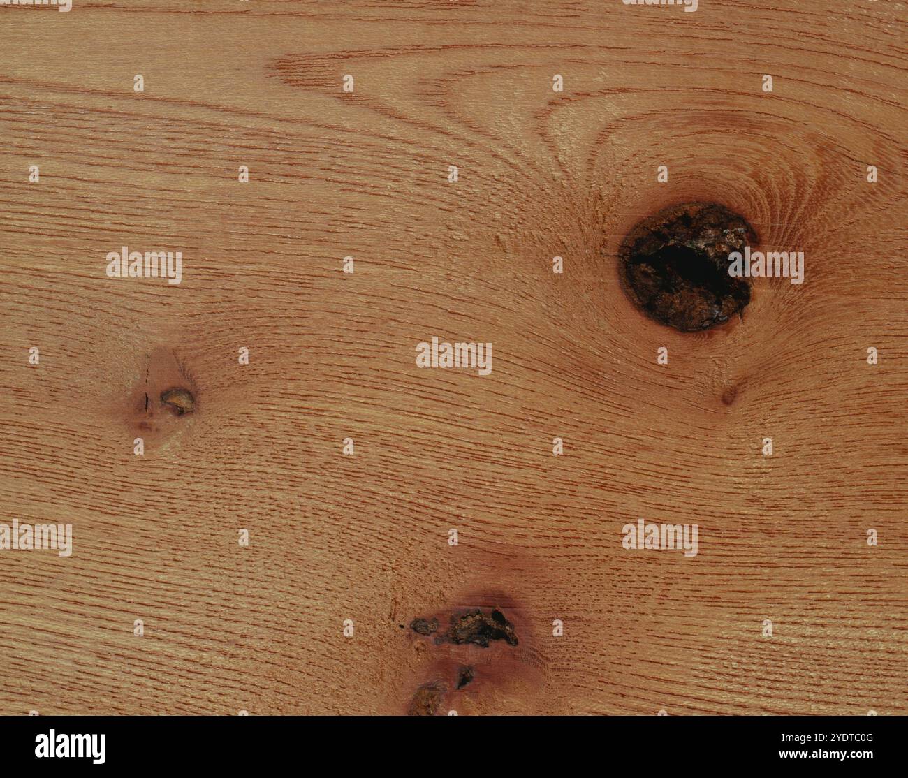 Grain of trees Stock Photo - Alamy