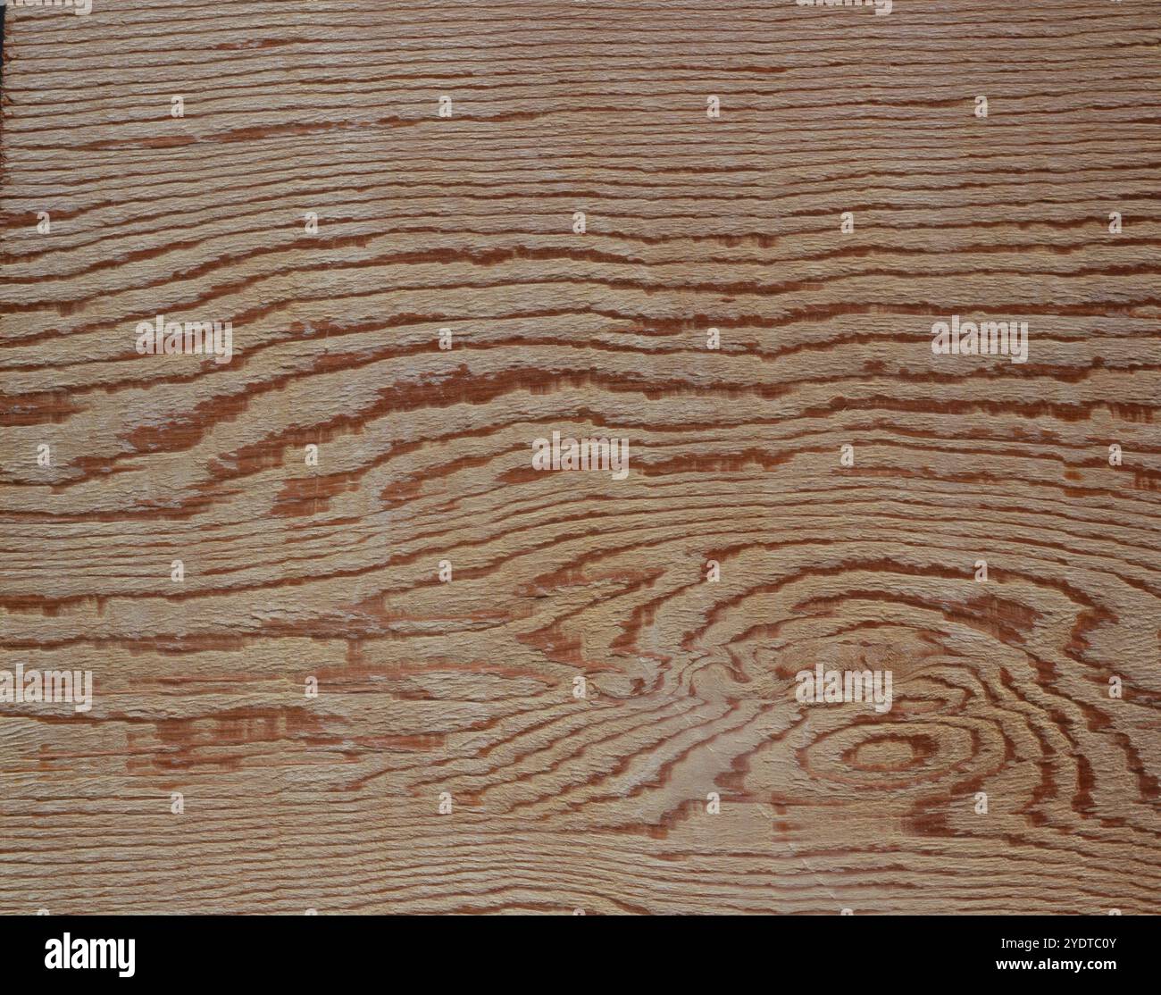 Grain of trees Stock Photo - Alamy