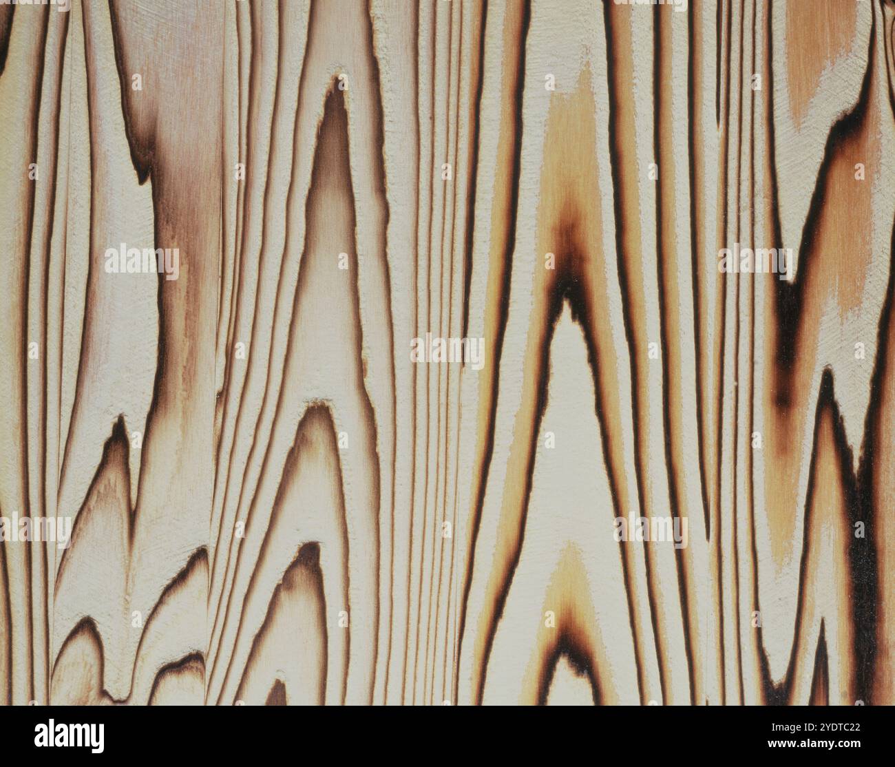 Grain of trees Stock Photo - Alamy