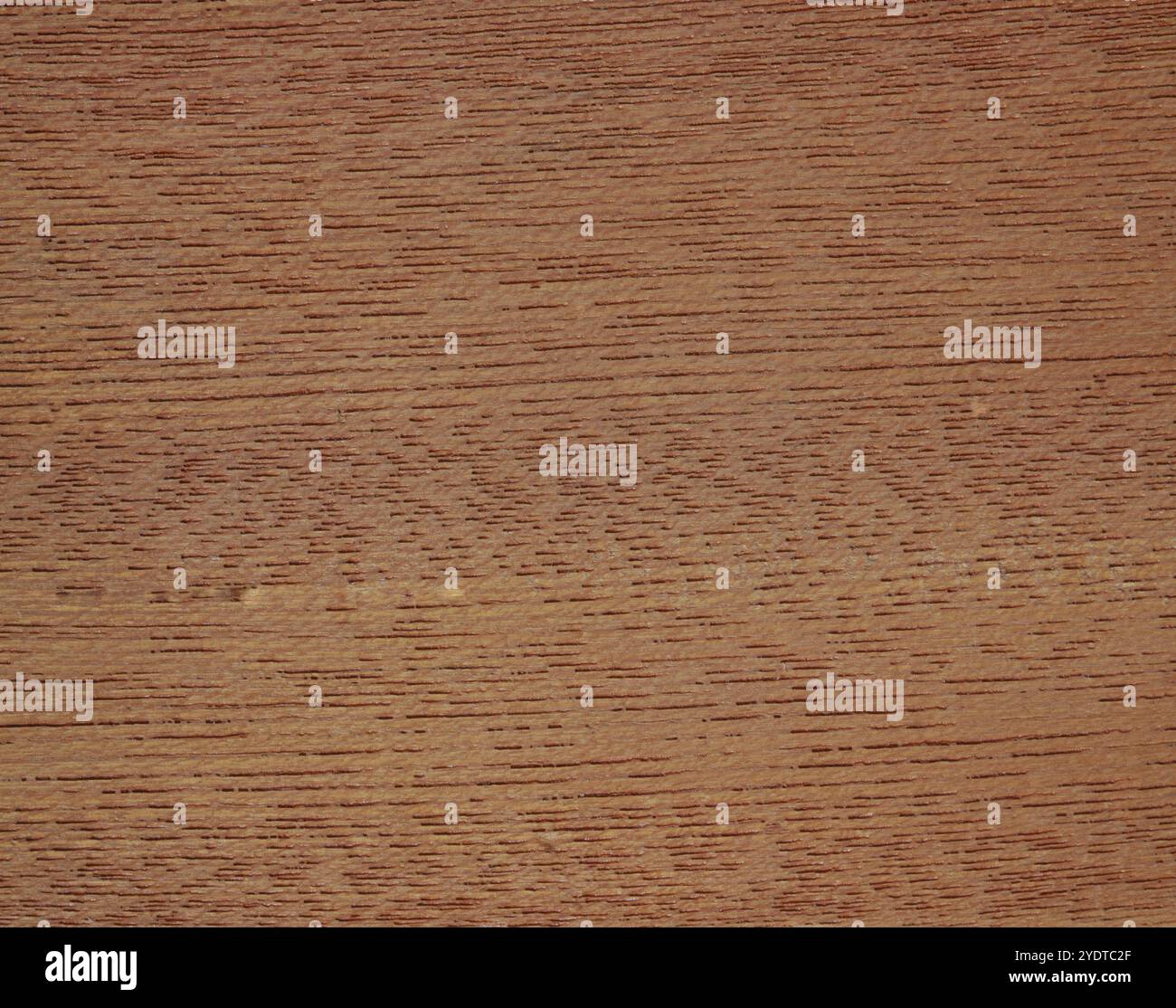Grain of trees Stock Photo - Alamy