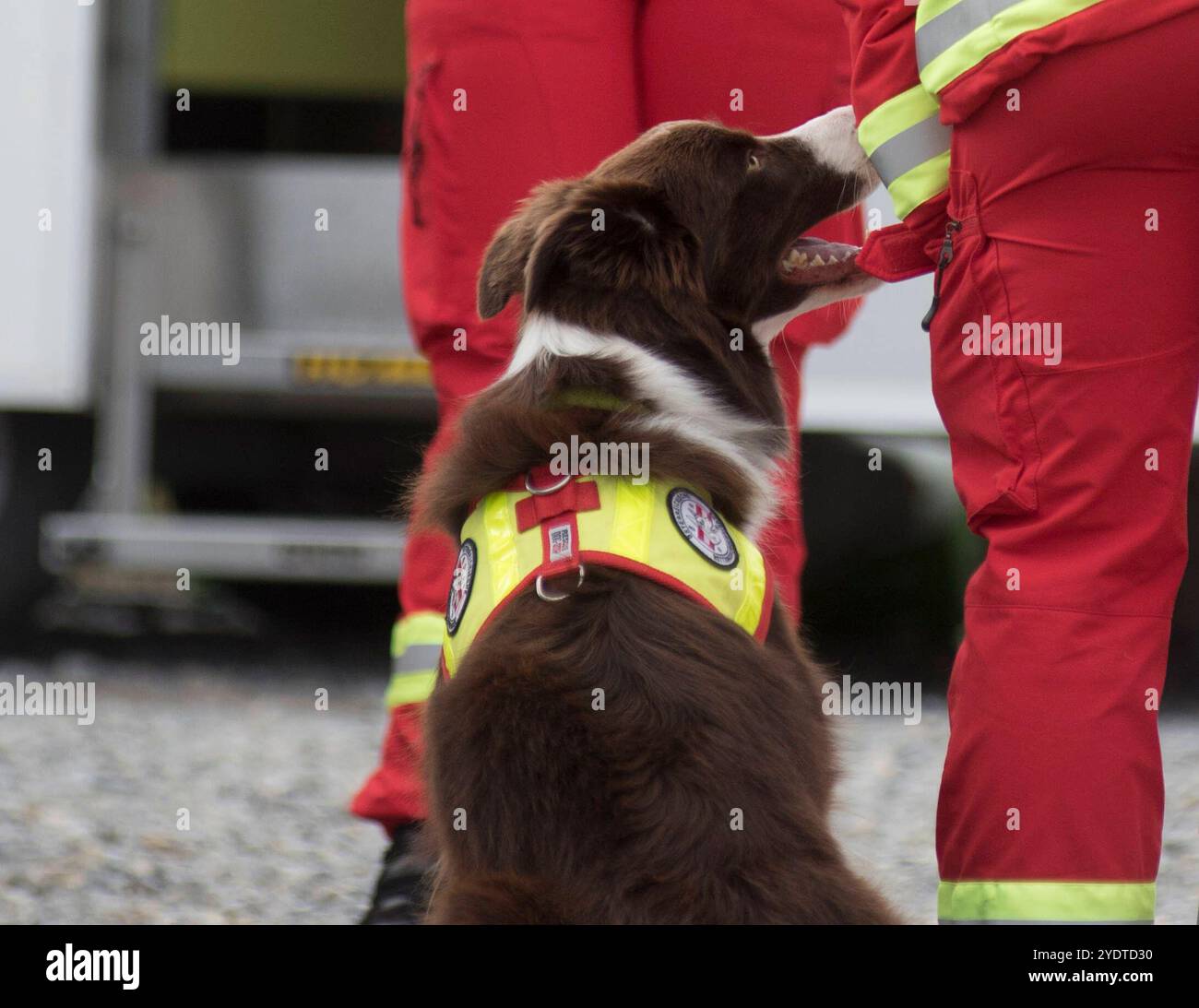 first aid for initial treatment of injuries and wounds first aid for ...