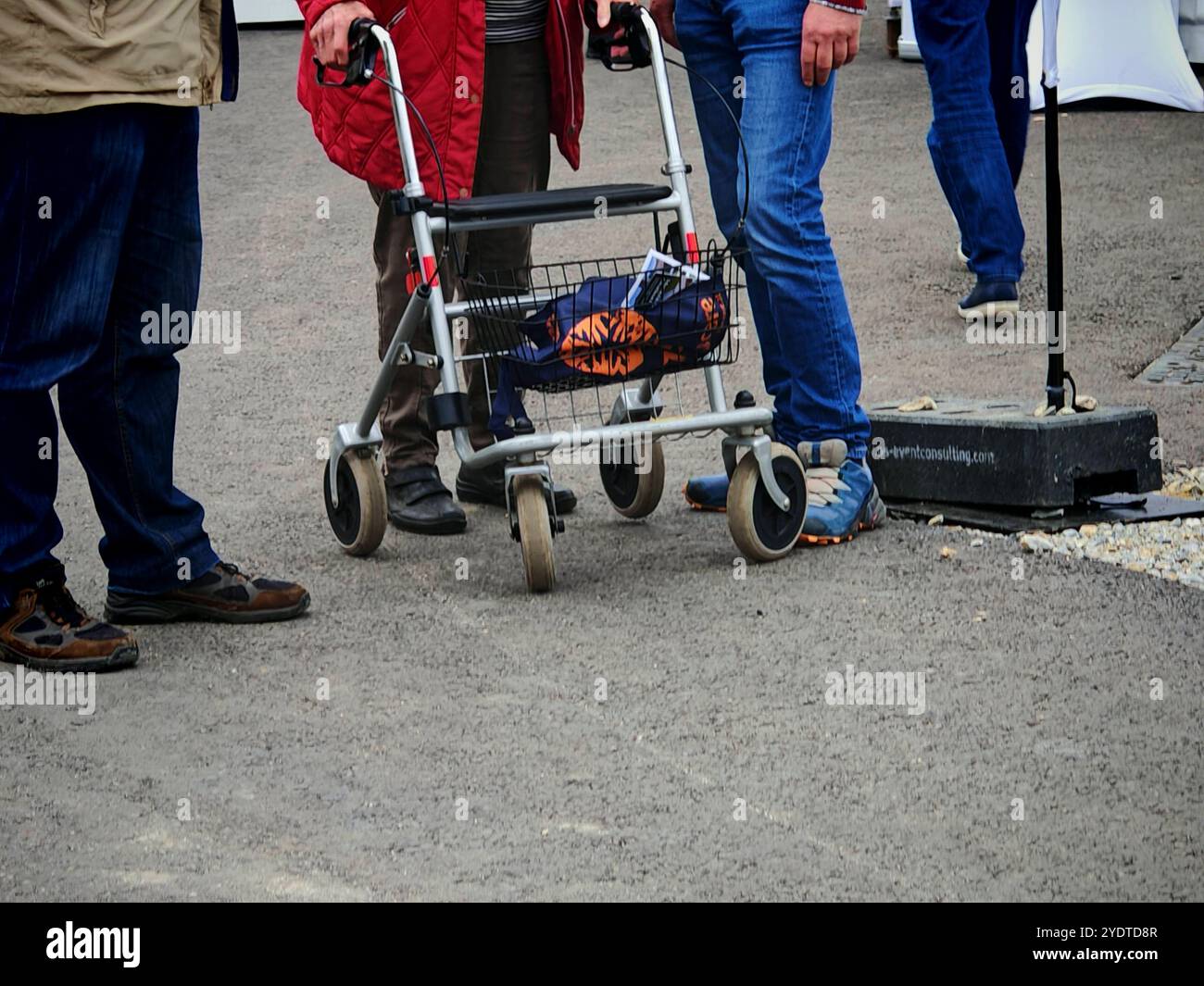 Disability in its various forms as a sign of permanent and serious ...