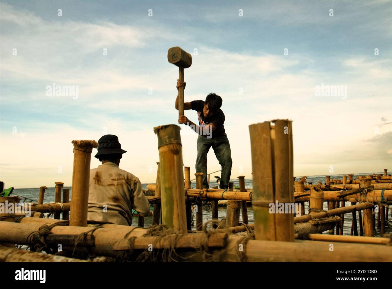 Men building a coastal structure using bamboo poles, a stilt building ...