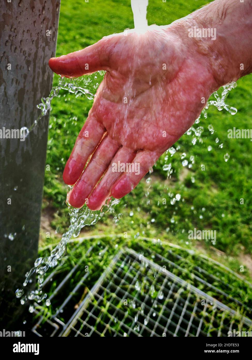 cleaning for hygiene as a standart,fresh and shiny cleaning for hygiene ...