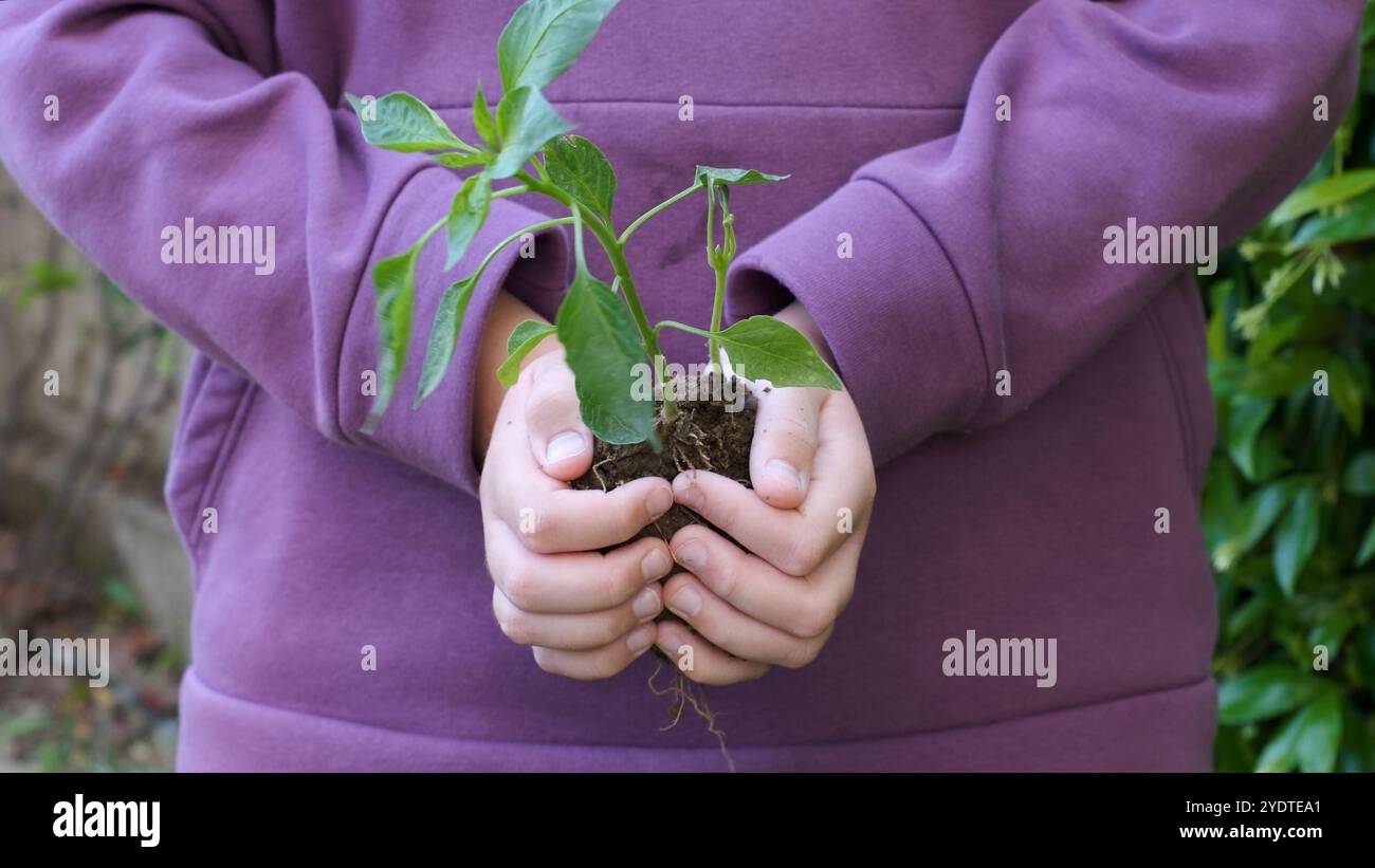 Terrestrial agriculture hi-res stock photography and images - Alamy
