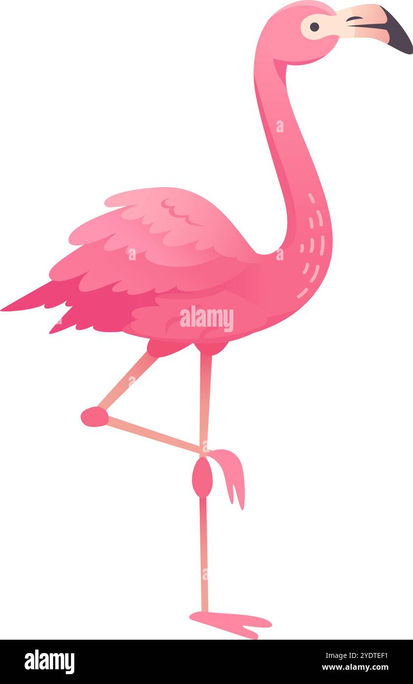 Flamingo standing on one leg, a symbol of grace and balance, showcasing the vibrant colors and ...
