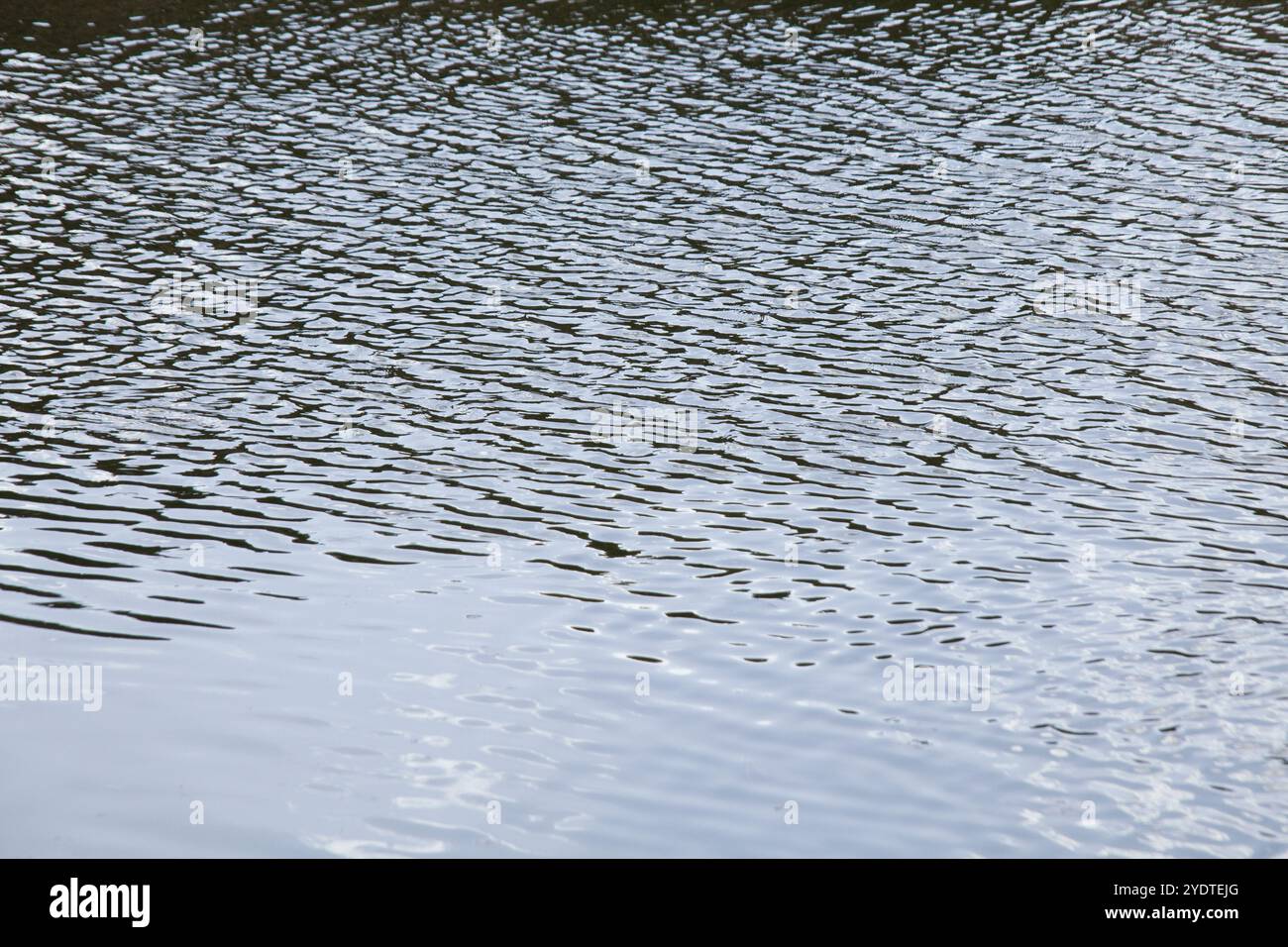 Ripples on pond hi-res stock photography and images - Alamy