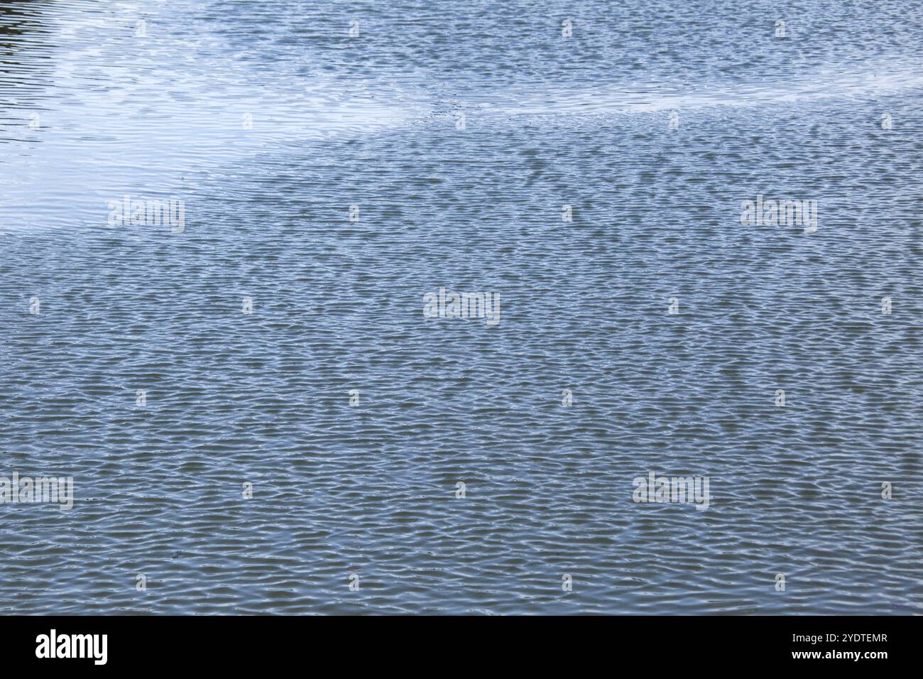 Ripples on pond hi-res stock photography and images - Alamy