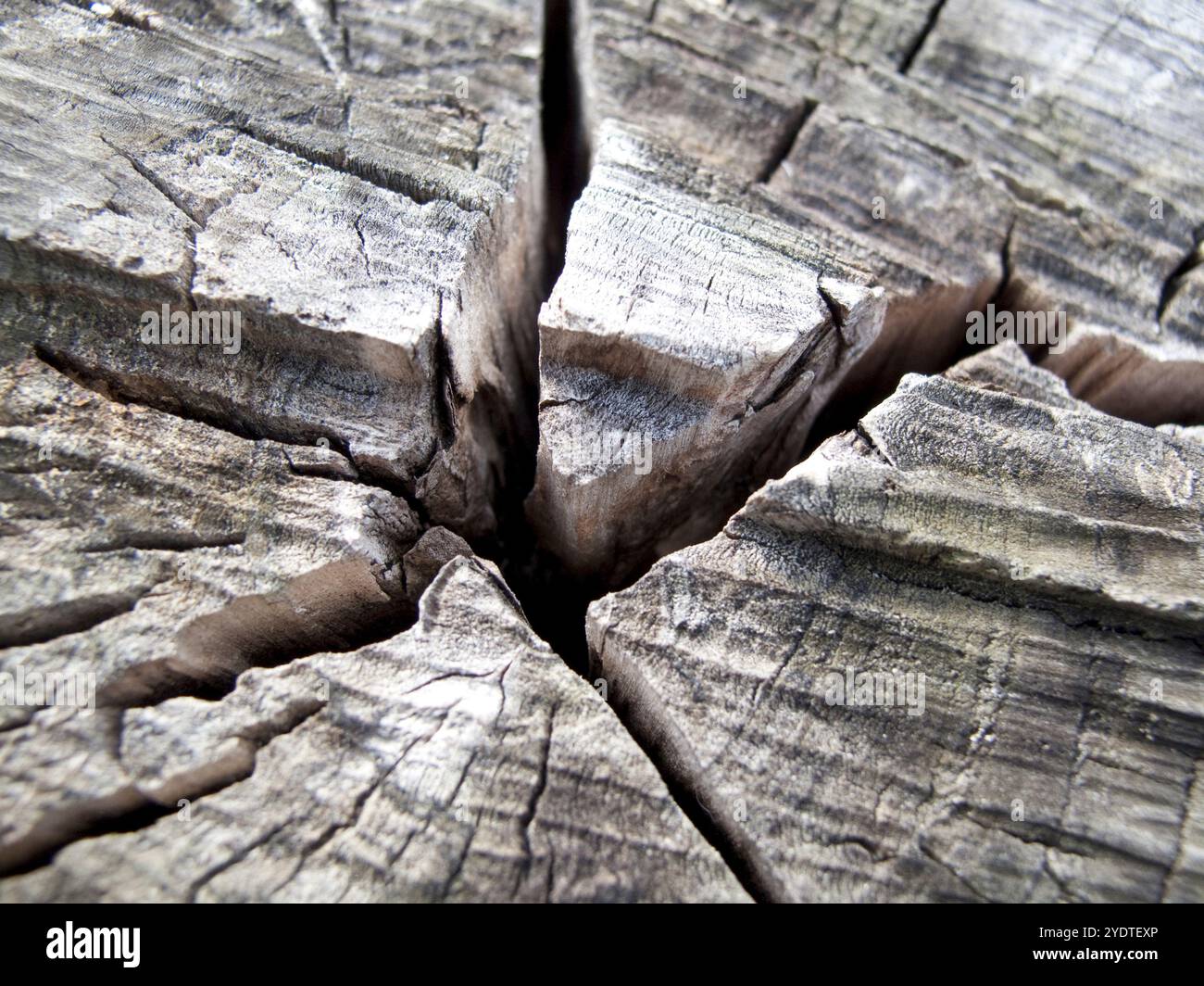 Cracks in logs Stock Photo - Alamy