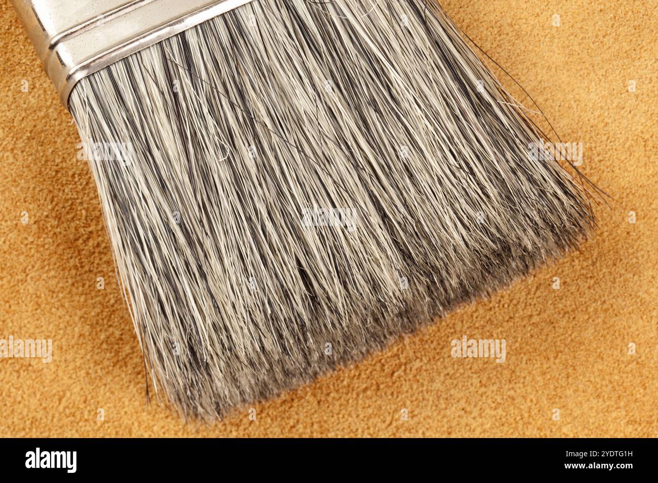 Bristle hair hi-res stock photography and images - Alamy