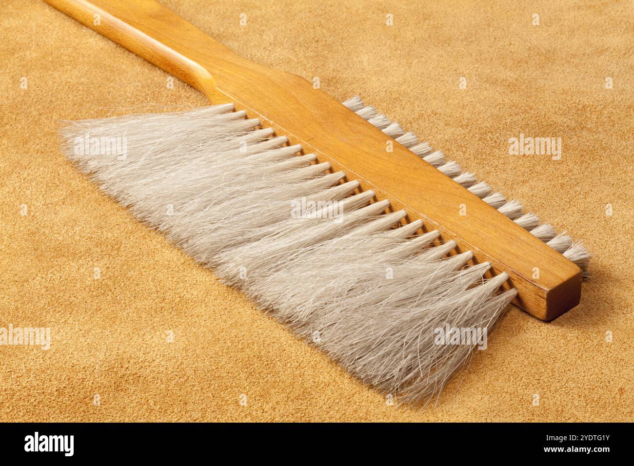 Bristle hair hi-res stock photography and images - Alamy