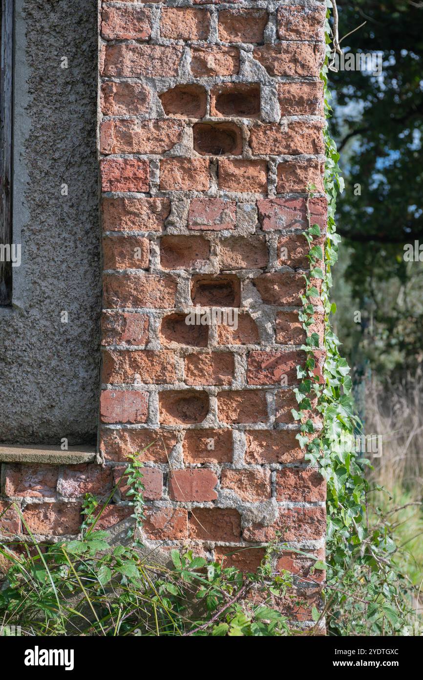 Abstract nature’s architecture hi-res stock photography and images - Alamy