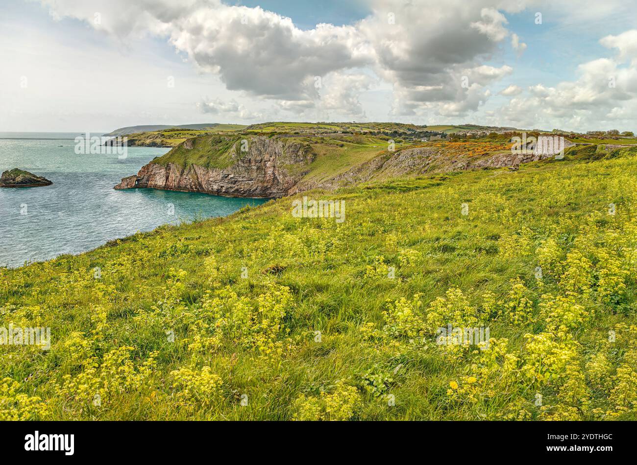 English nature national reserve hi-res stock photography and images - Alamy