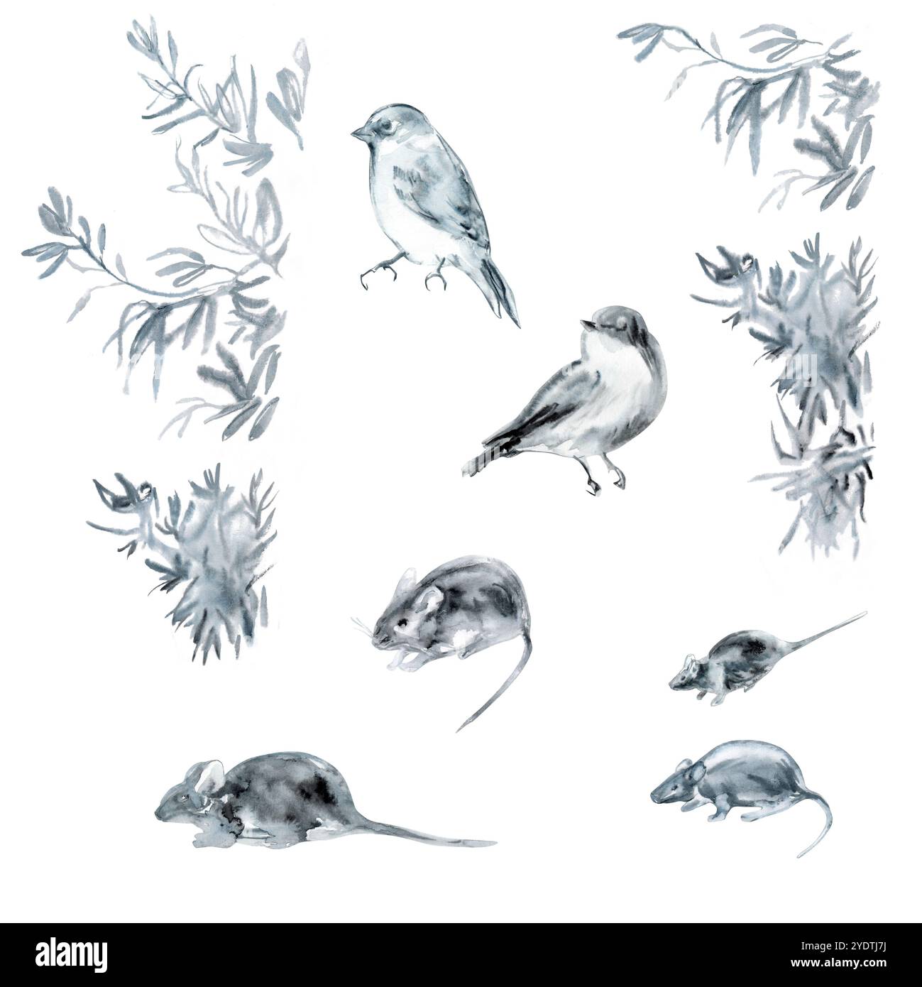 Fish mouse hi-res stock photography and images - Alamy