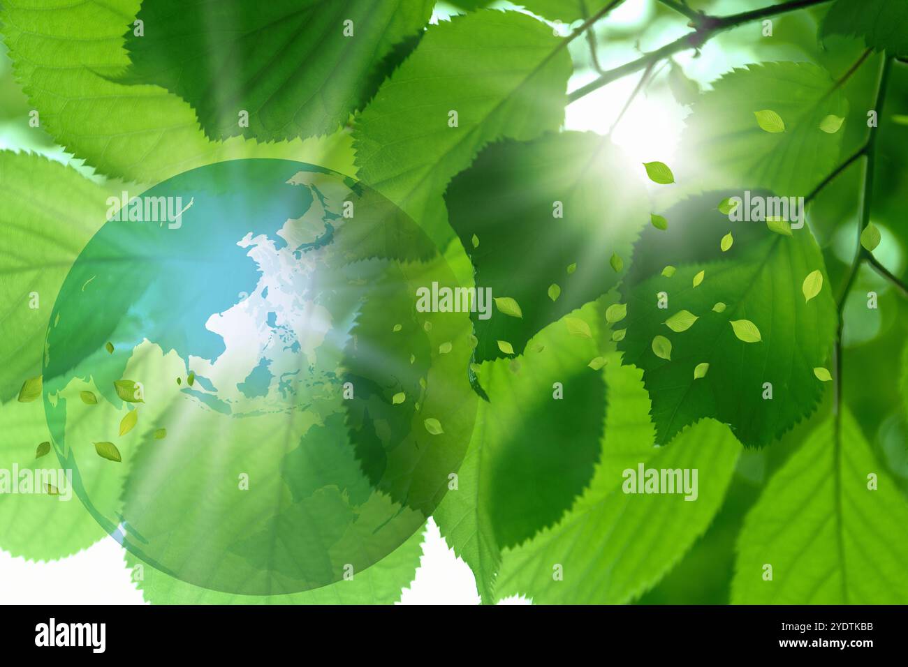 World map and leaves Stock Photo - Alamy