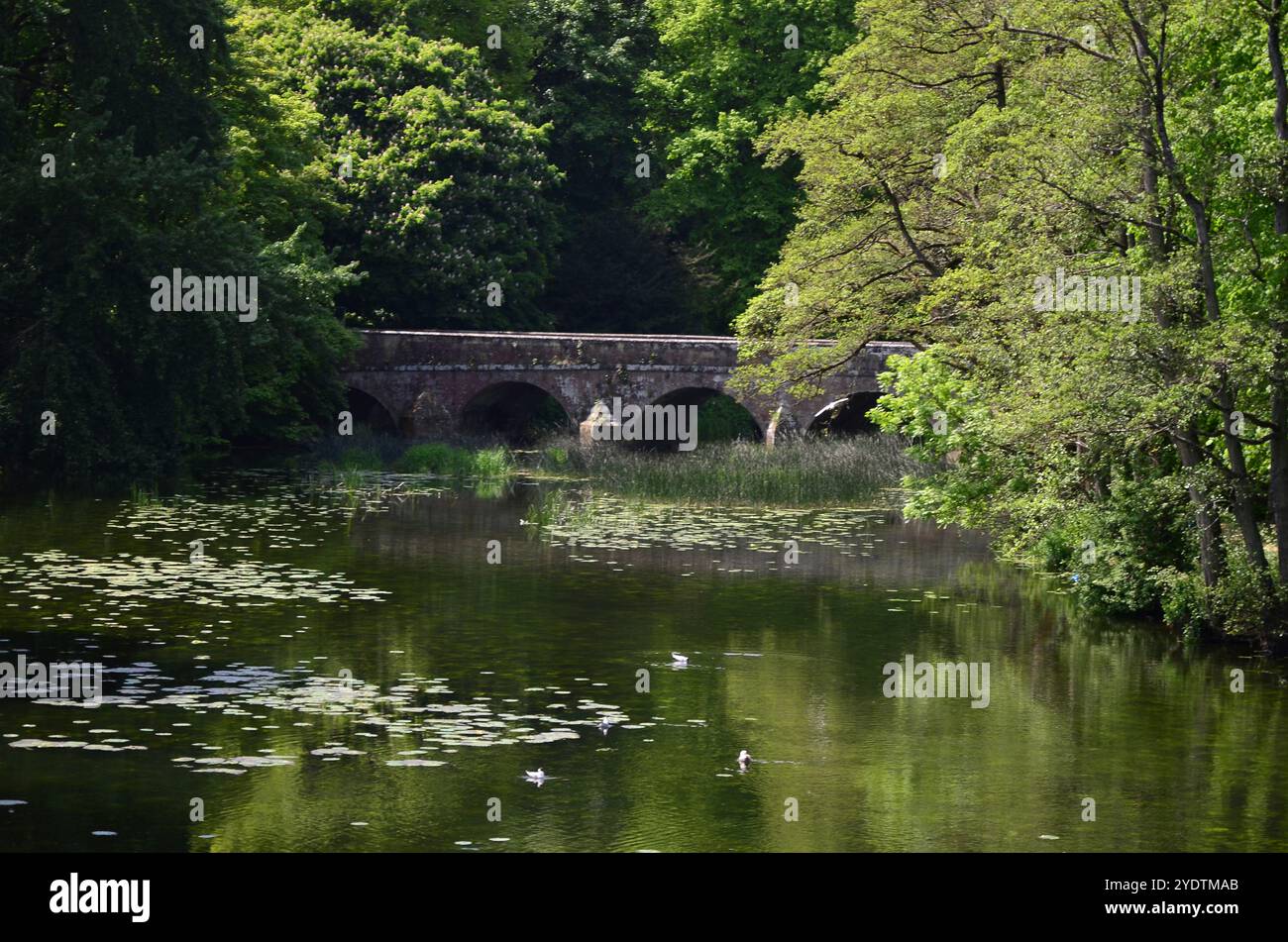 Road bridge over River Stour at Blandford Forum, Dorset, UK Stock Photo ...