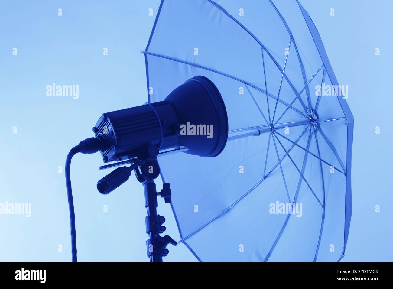 Studio light lighting hi-res stock photography and images - Alamy