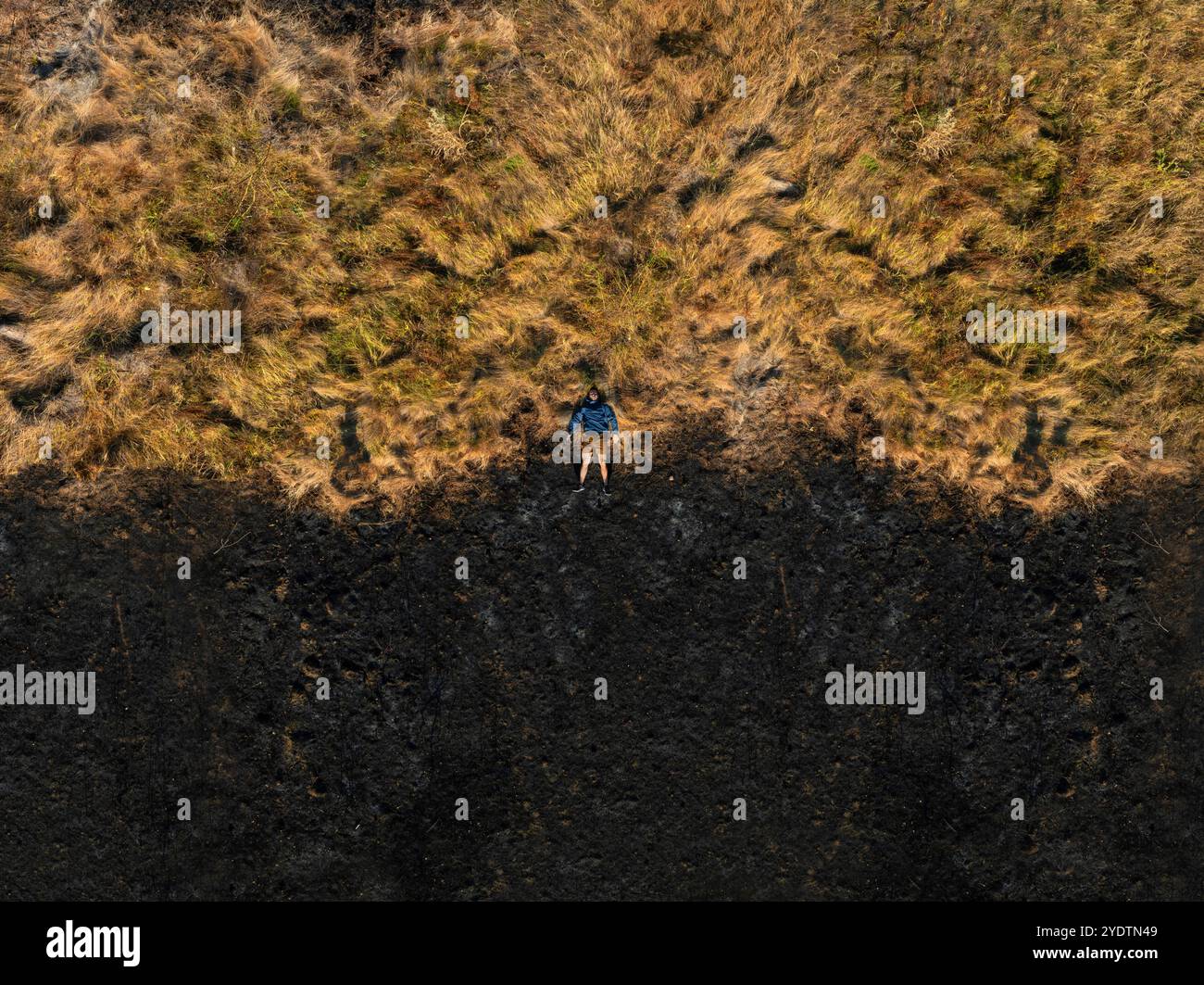 Terrain after fire in hi-res stock photography and images - Alamy