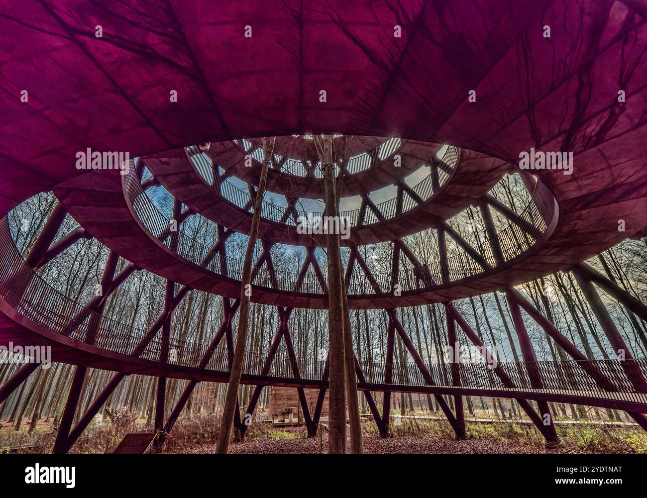 A striking spiral-shaped wooden observation tower set against a clear ...