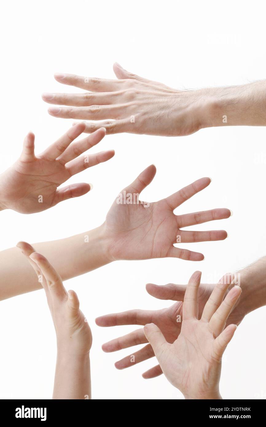 Palm of the hand Stock Photo - Alamy