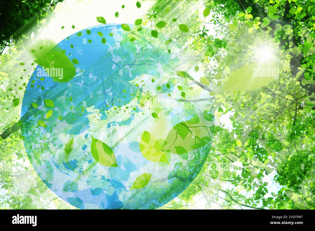 World forest map hi-res stock photography and images - Alamy