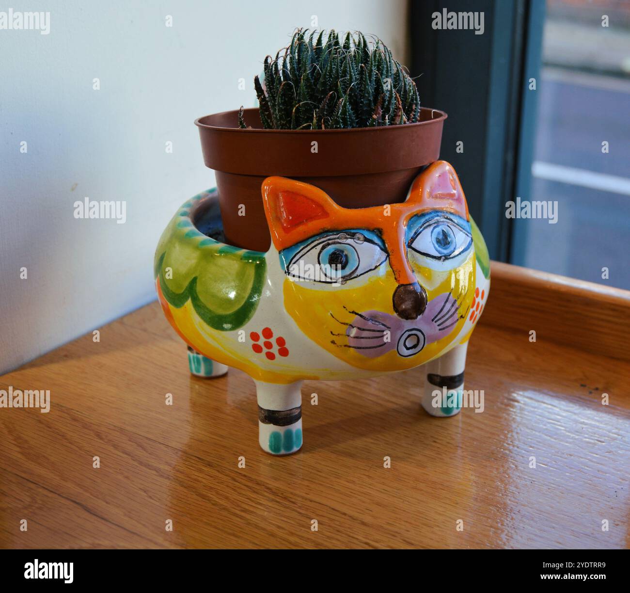 Cat pot plant hi-res stock photography and images - Alamy