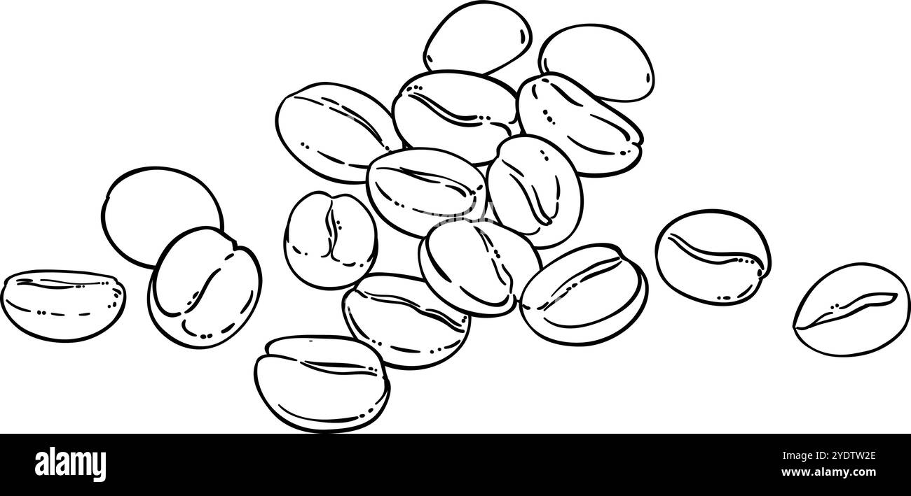 Coffee Seeds Illustrator Outline Illustration Stock Vector Image & Art ...